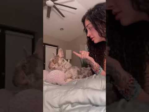 MaluTrevejo Playing with her dog (5-6-25) ig live 