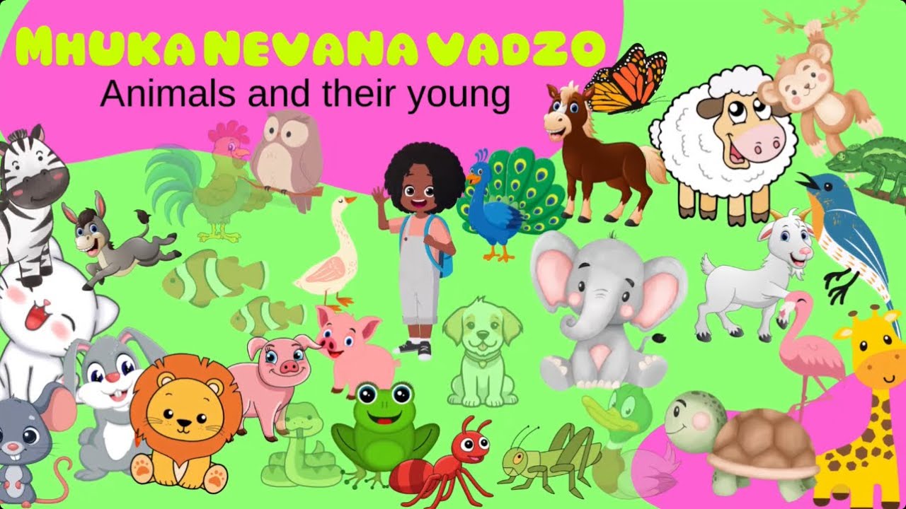 Shona Baby Animal Names + Baby Shark Dance - YouTube