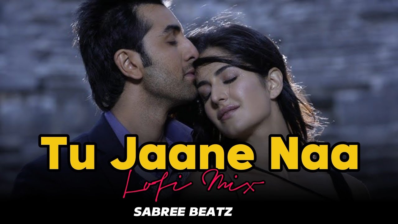 Tu Jaane Na (LOFI MIX) | SABREE BEAT | Atif Aslam | Irshad Kamil ...