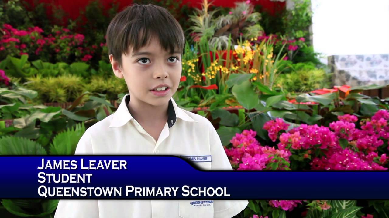 Queenstown Primary School Logo