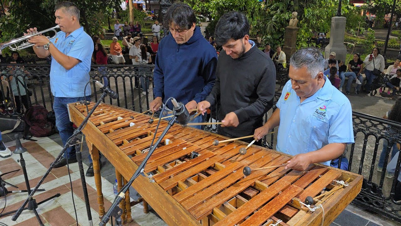 MARIMBA SANTA CECILIA CANCIONES PARQUE DE LA MARIMBA 🇲🇽TUXTLA GUTIÉRREZ ...