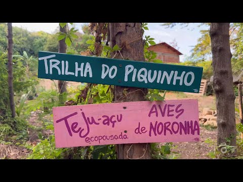 Trilha do Piquinho | Fernando de Noronha |