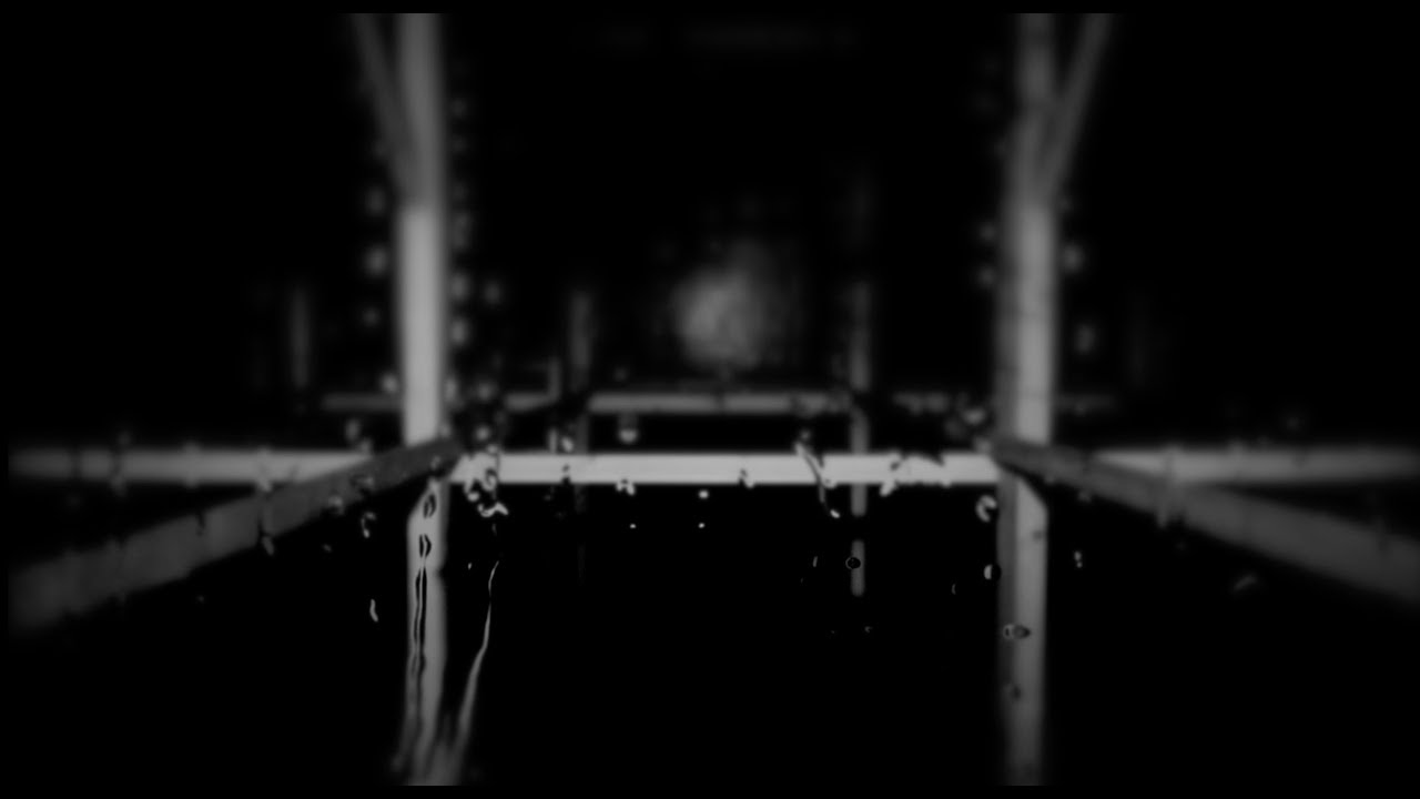 The Me in You - Shirley's Dream (official video) - YouTube