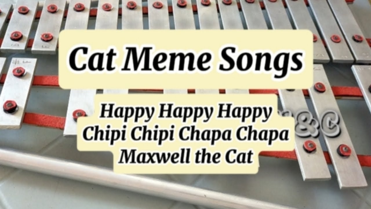 CAT MEME SONGS/LYRE XYLOPHONE COVER/H&C ENTERTAINMENT - YouTube