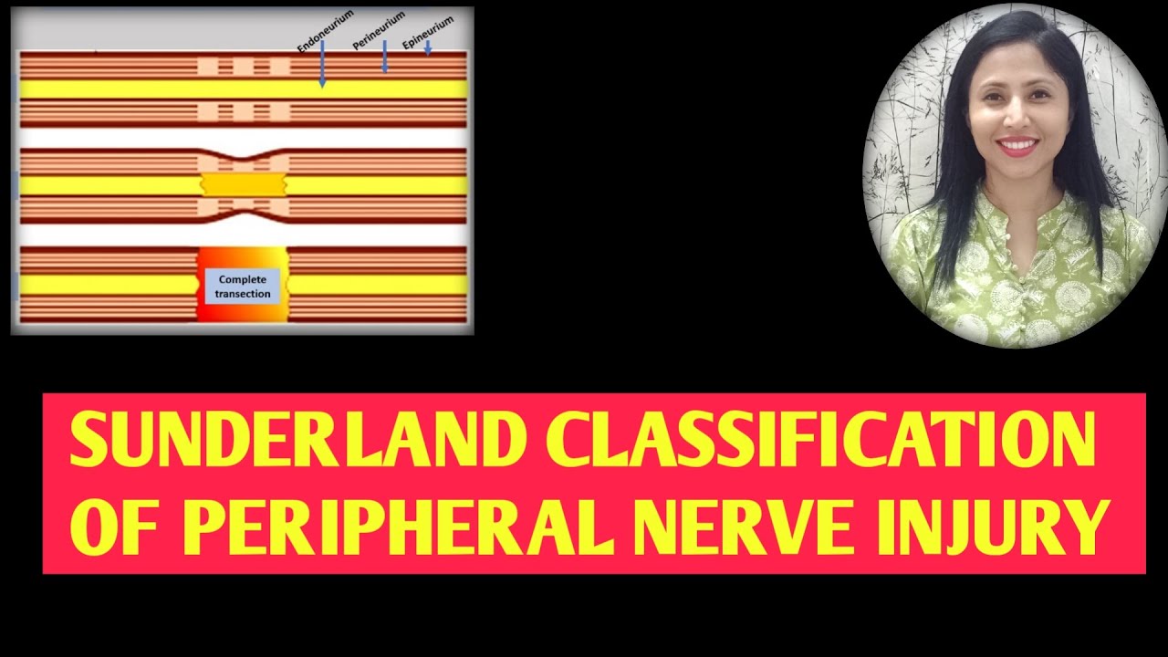 TYPES OF PERIPHERAL NERVE INJURY|SUNDERLAND CLASSIFICATION OF NERVE ...