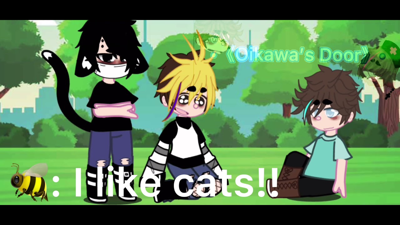 I like cats meme ||Sakuatsu ft: Oikawa || •《Oikawa’s Door》• - YouTube