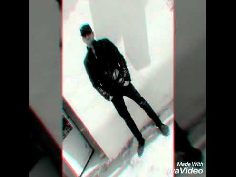 aysel seevmez 2016 zamene