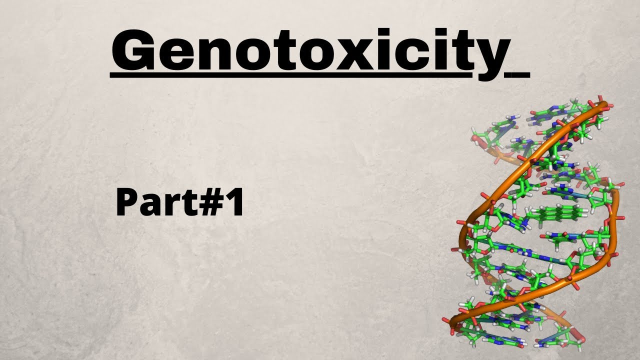 Genotoxicity part1 |Genotoxicology |Point mutations ,DNA adduct ...
