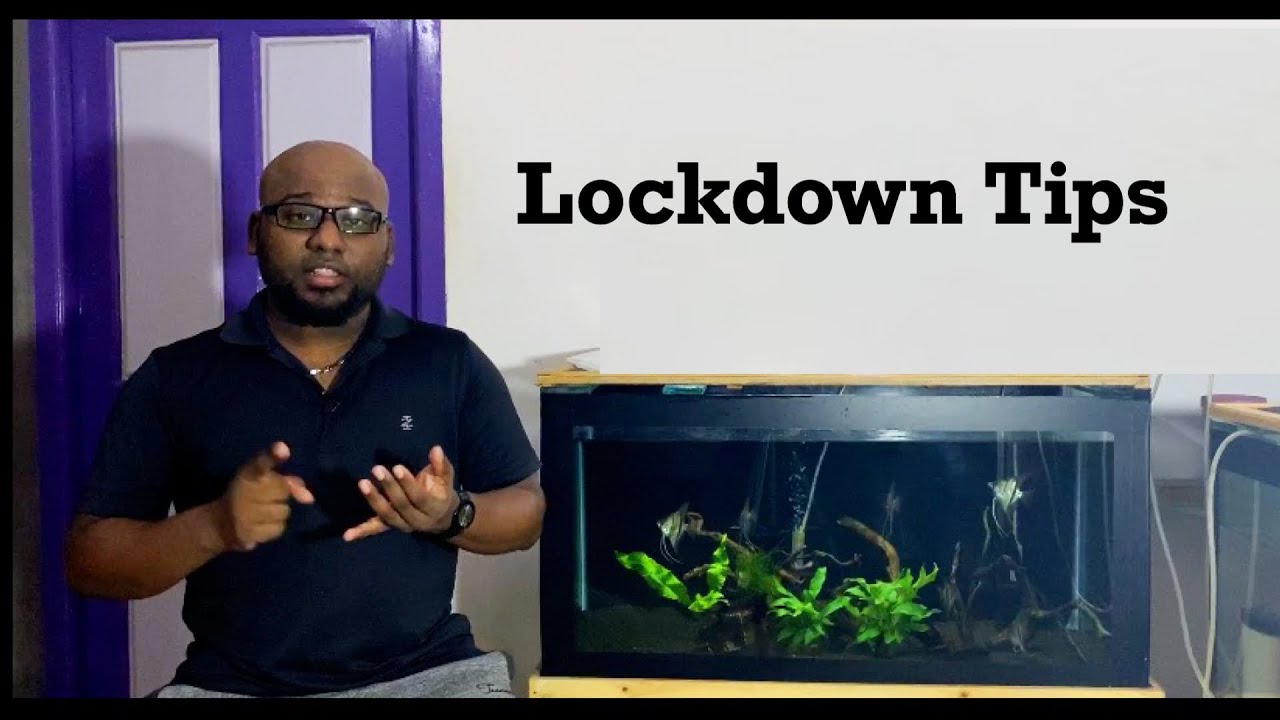 LOCKDOWN TIPS | FISH ROOM CHANGES | AQUARIUM | PETS | - YouTube