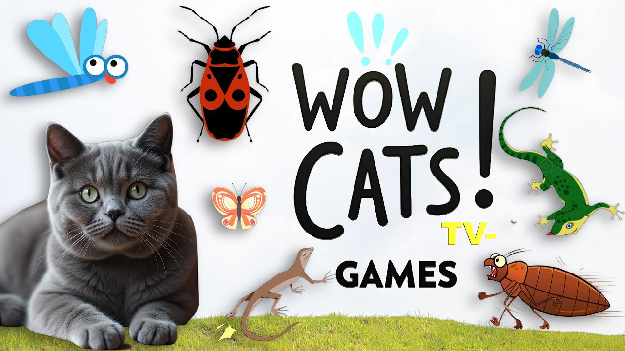 Cat Games 🐾 The Ultimate 3-Hour Compilation | Fun Interactive Games for ...