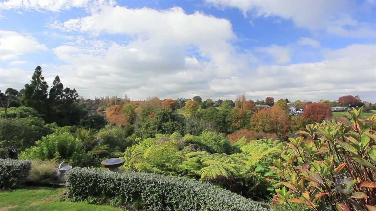 20 Minchin Crescent, Saint Andrews, Hamilton Waikato By Andrea Forsyth ...