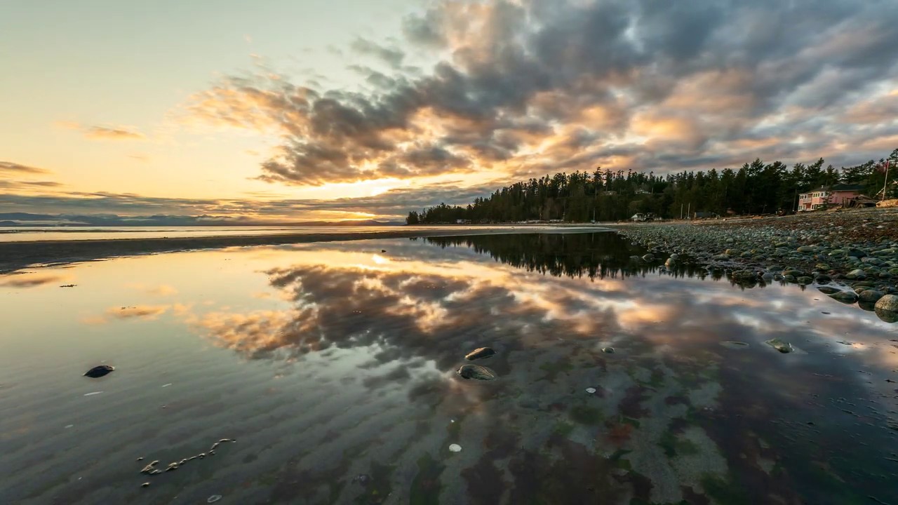 Beach Shore 2020 - YouTube