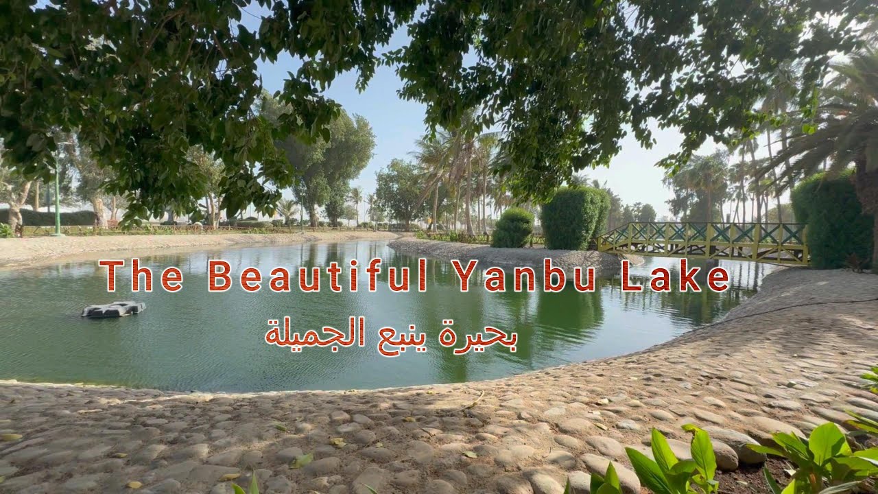 The Beautiful Yanbu Lake Park | Relaxing Walk in Yanbu, Saudi Arabia ...