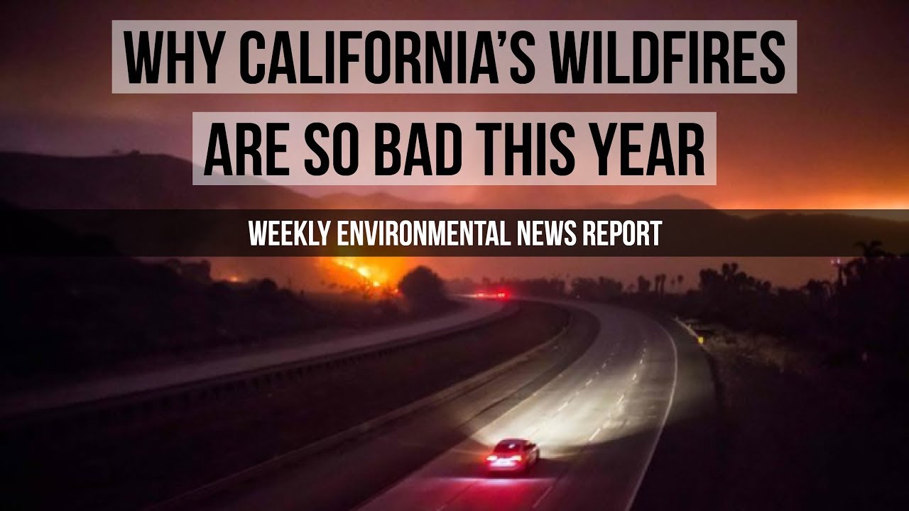 Why California's wildfires are so bad this year | greenversal - YouTube