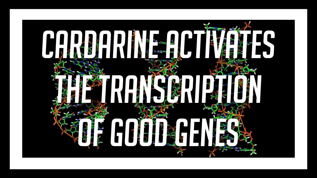 Cardarine's Regulation of Gene Expression through the PPAR Receptor - A ...