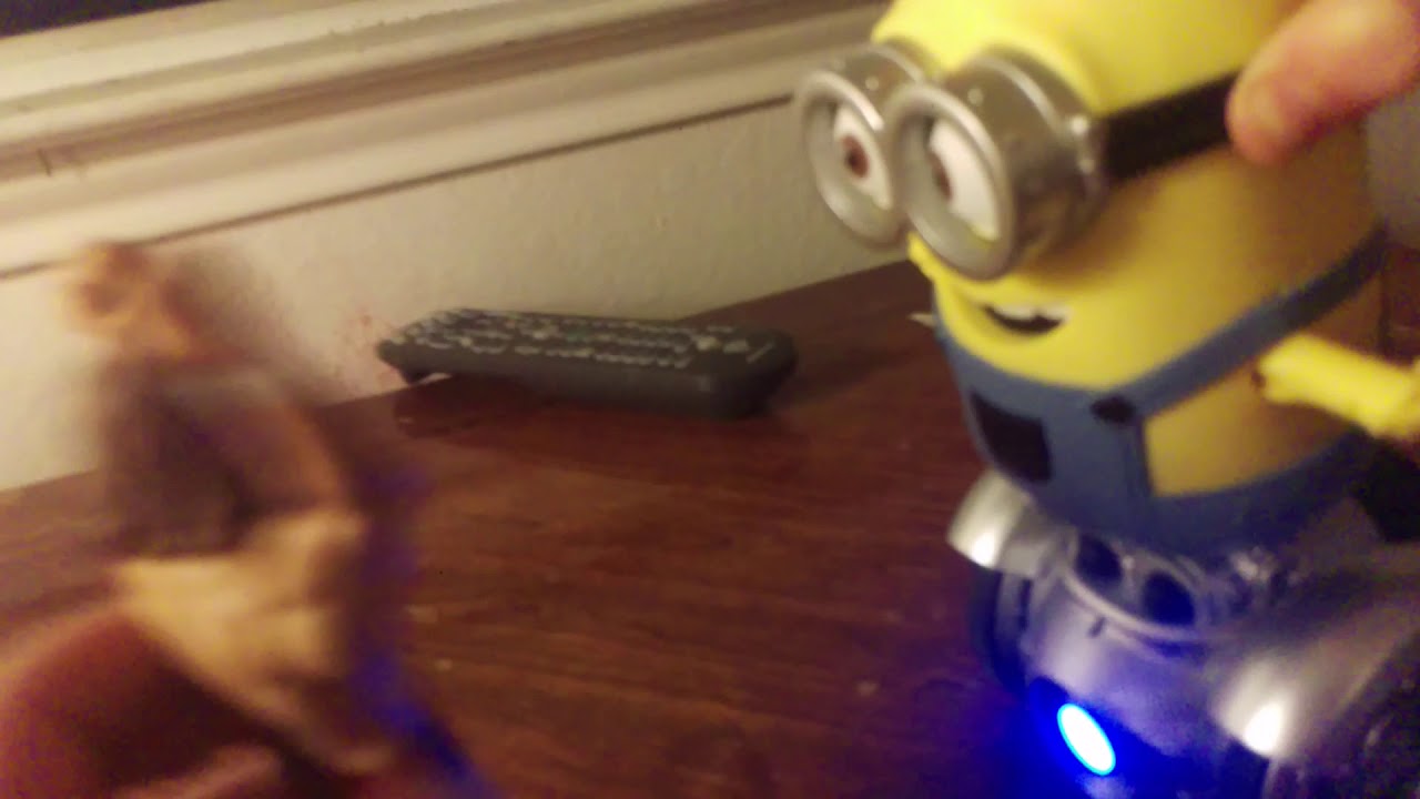 A minion vs Daniel Bryan (wrestler wwe) - YouTube
