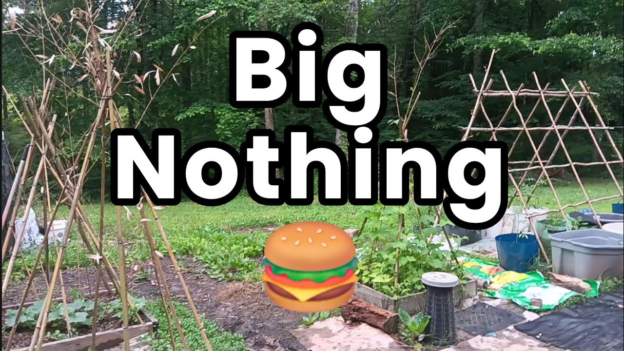 Cheesecake, Dinner, and a Big Nothing Burger! - YouTube