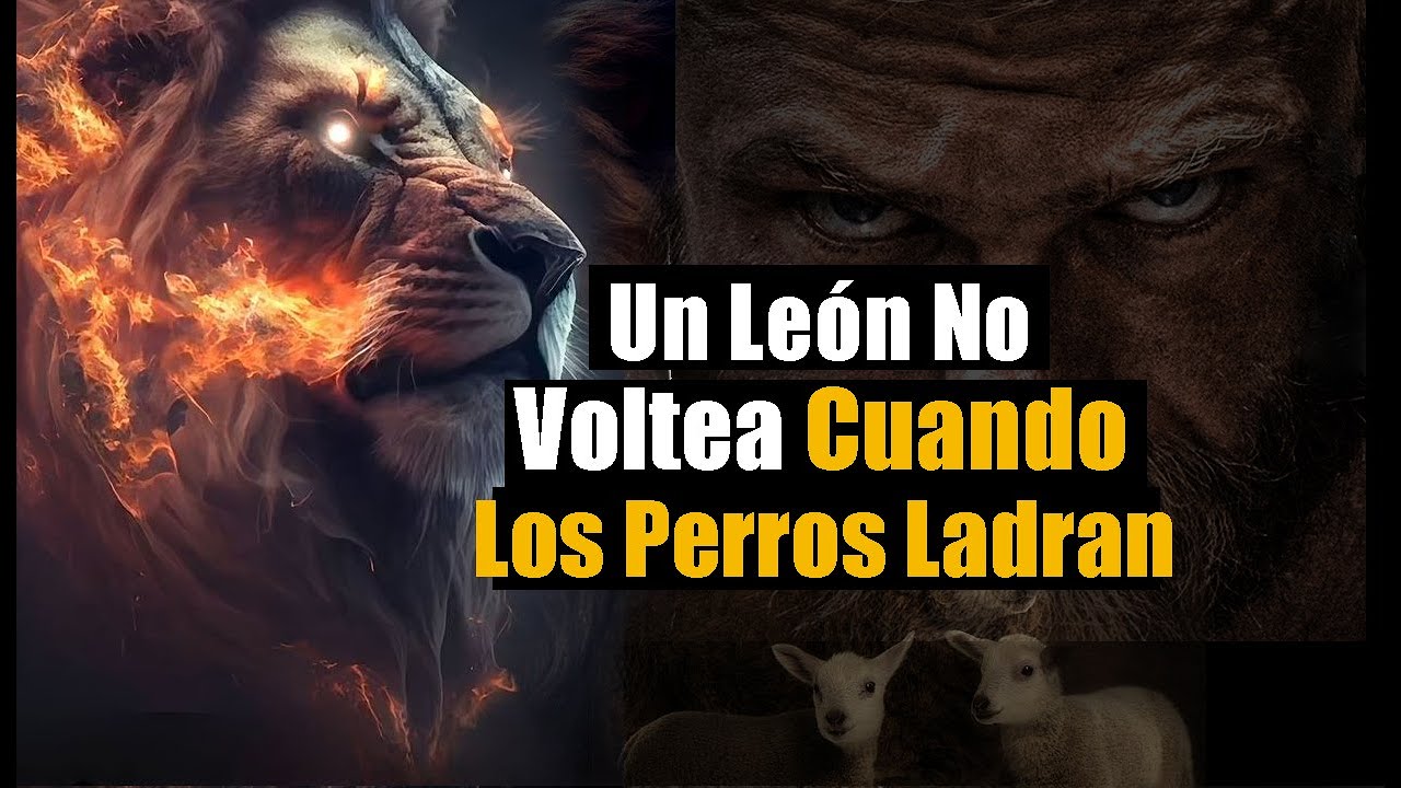 CONVIERTETE EN LEON, NO TE CONFORMES CON SER UNA OVEJA - el mejor ...