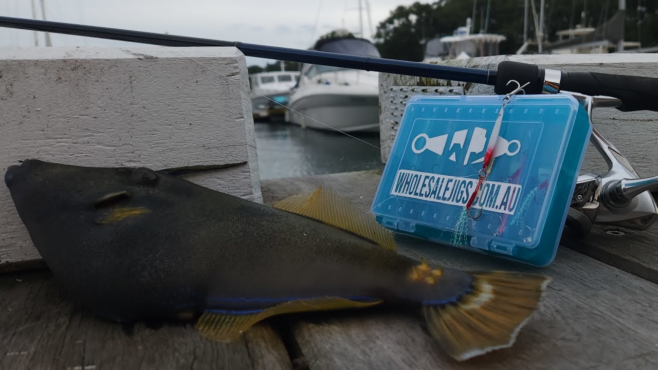 How To Micro Jig Marinas - Fishing Verticle Structure with micro jigs ...