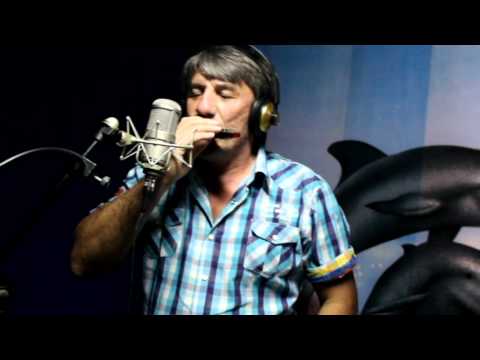 Zika Mokranjac - Usna Harmonika