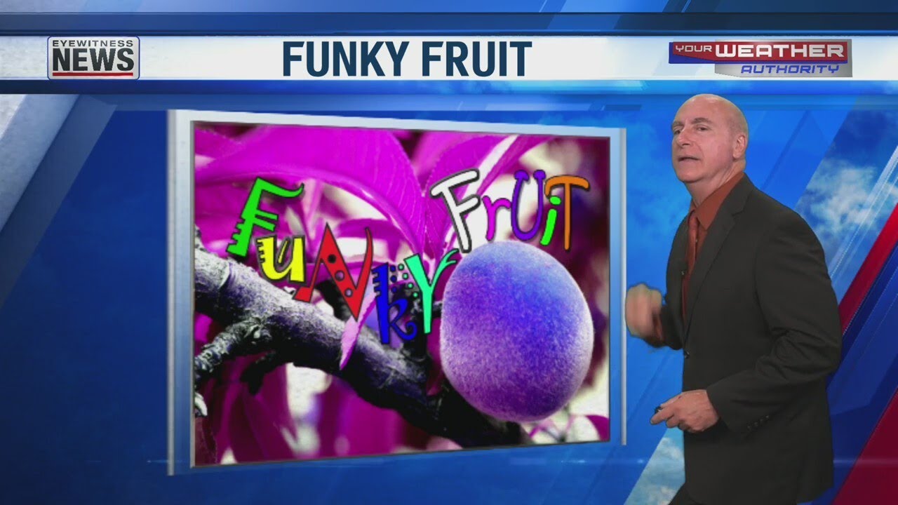 FuNkY FrUiT Three Legs Carrot - YouTube