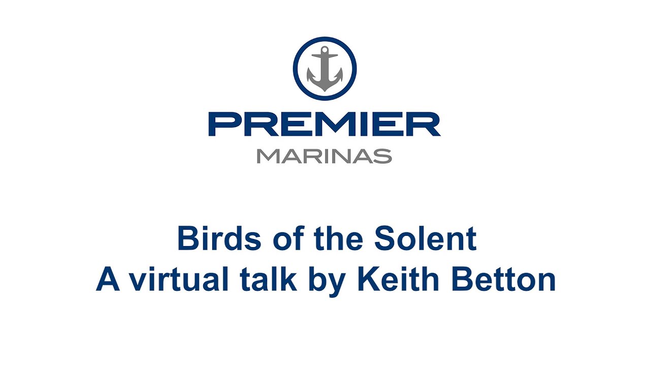 Premier Marinas - Birds of the Solent virtual talk 2023 - YouTube