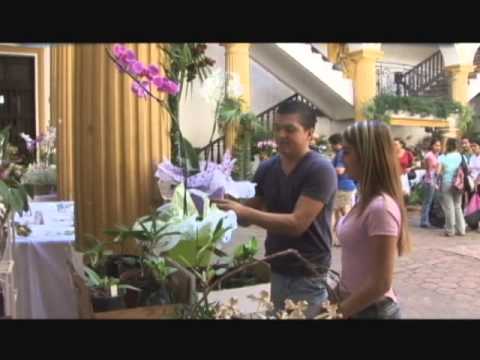 SIMON FLORES TE AMO SOLO A TI - YouTube