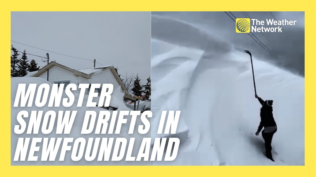 Snow Drifts Higher Than Houses & Blocked the Roads in Newfoundland ...