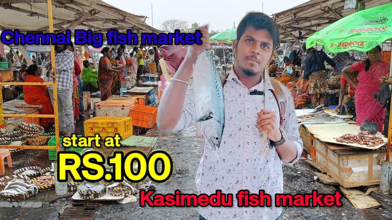 Kasimedu fish market #freshfish #fishmarket #kasimedu #Chennai kasimedu ...