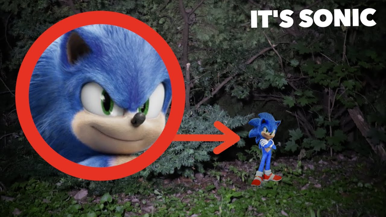I FOUND SONIC IN REAL LIFE! - YouTube