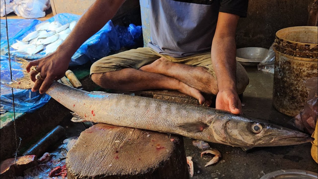 Ctg Cutting Fisher for(Chowk Bazar) 6kg 12 foot fish big fish Fish ...