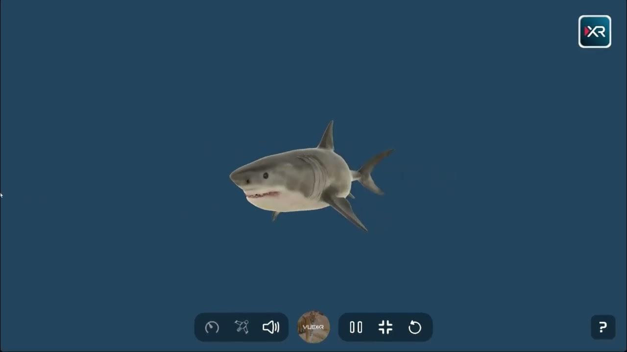 Explore AR Content in 3D on VueXR website #shorts - YouTube