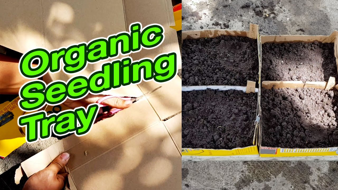 Paano magagamit ang mga karton sa garden - YouTube