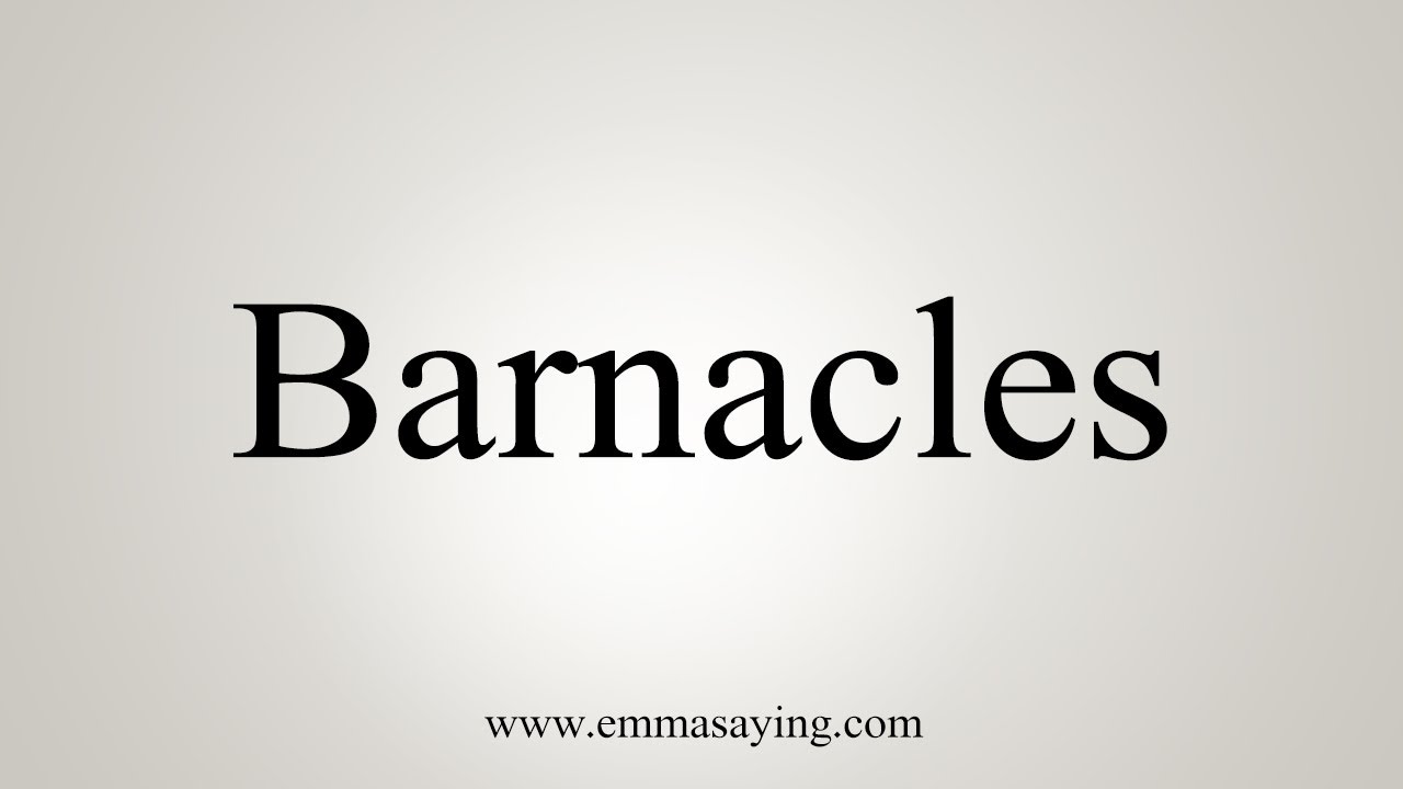 How To Say Barnacles - YouTube