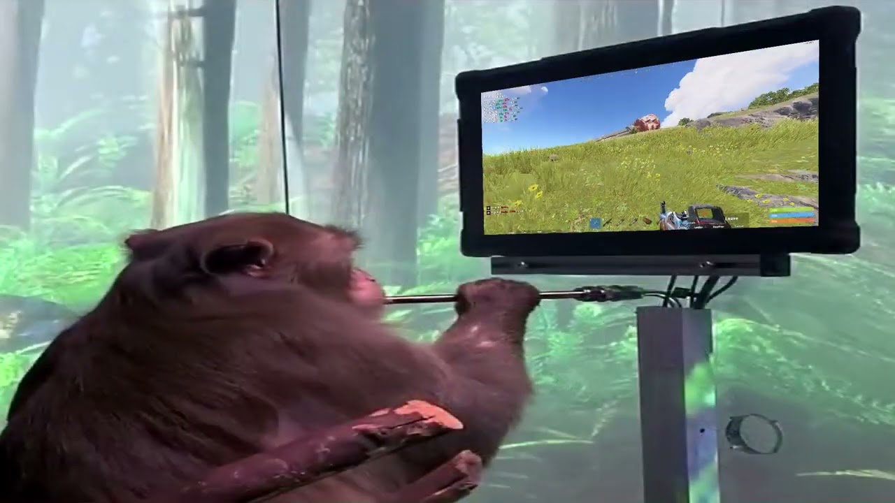 Average Rust Player Youtube