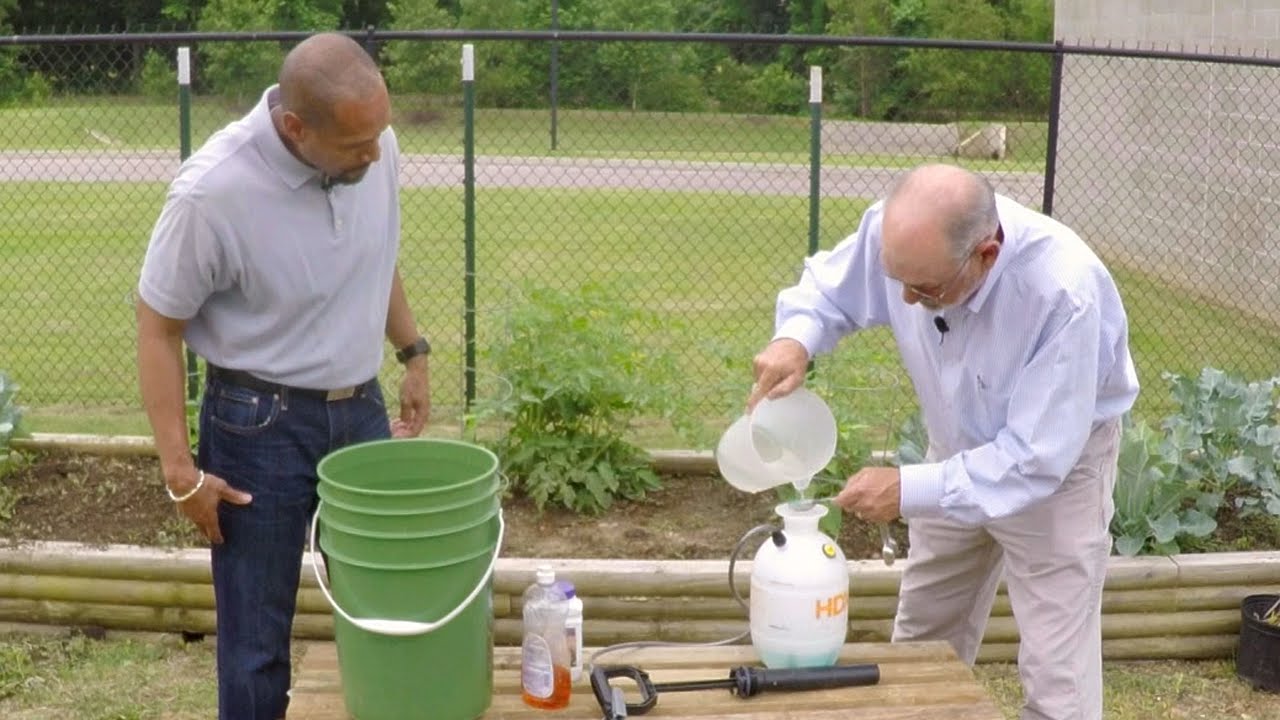 Mixing and Applying Fungicide -- Family Plot - YouTube