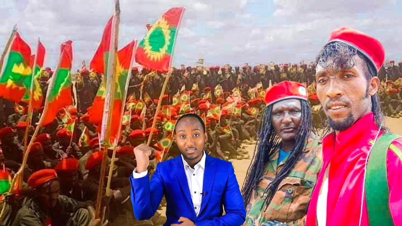 Bilxiginnaan Salphatte. WBOn Loltoota Komandoo Humna Addaa Dhibbaan ...