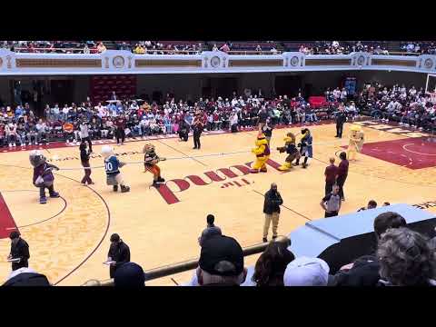Sports Mascot Tug Of War! - YouTube