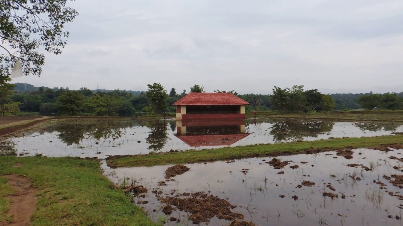 Vazhalikkavu Bagavathi Temple, PainkulamVillage, Panjal, Thrissur ...
