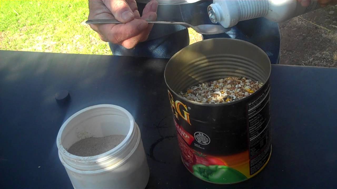 HOW I MIX HEALTHY PIGEONS BLEND POWDER INTO MY PIGEONS FEED. - YouTube