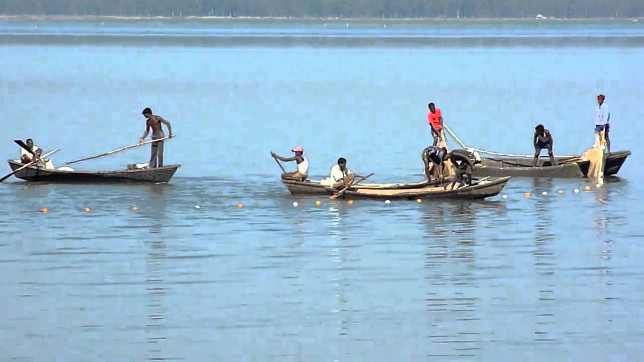 Mungeli Picnic - YouTube