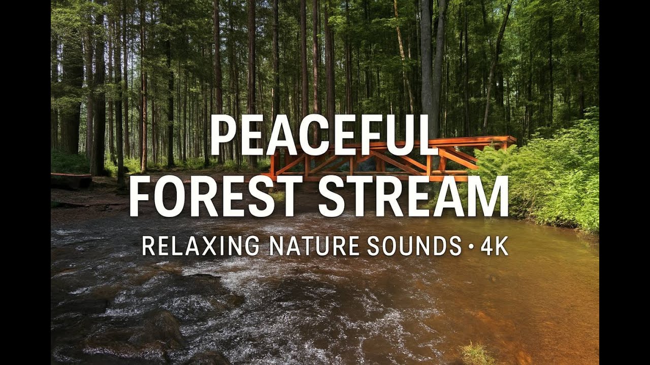 Peaceful Forest Stream with Wooden Bridge — Relaxing Nature Sounds — 4K ...