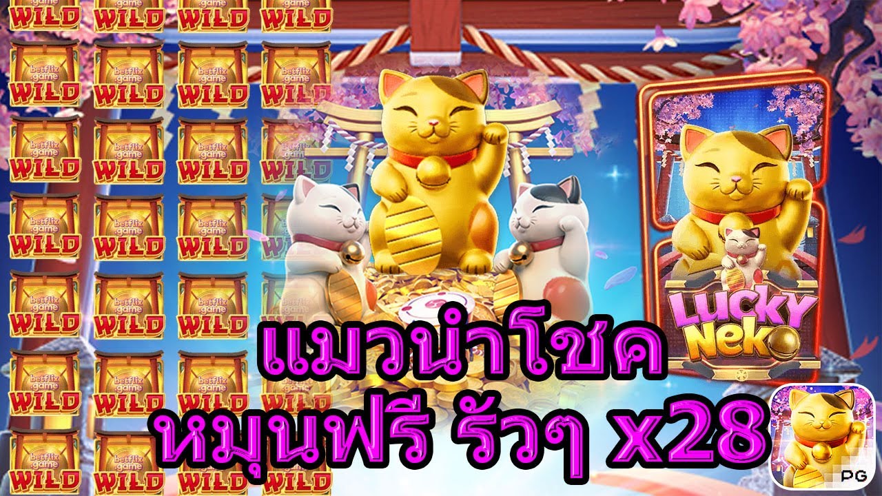 Lucky Neko ｢สล็อตPG｣ แมวนำโชค หมุนฟรีรัวๆ x28 - YouTube