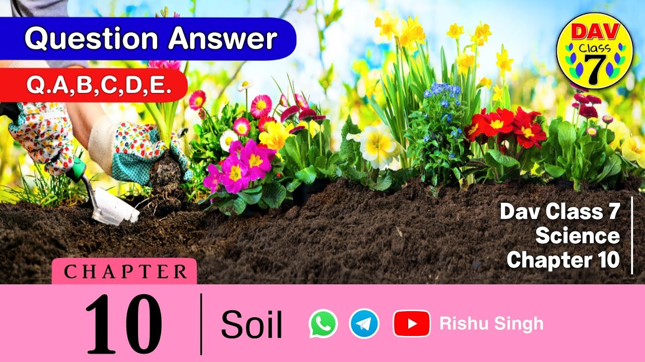 Soil Dav Class 7 Science Chapter 10 Question Answer Dav Public soil-dav-class-7-science-chapter-10-question-answer-dav-public