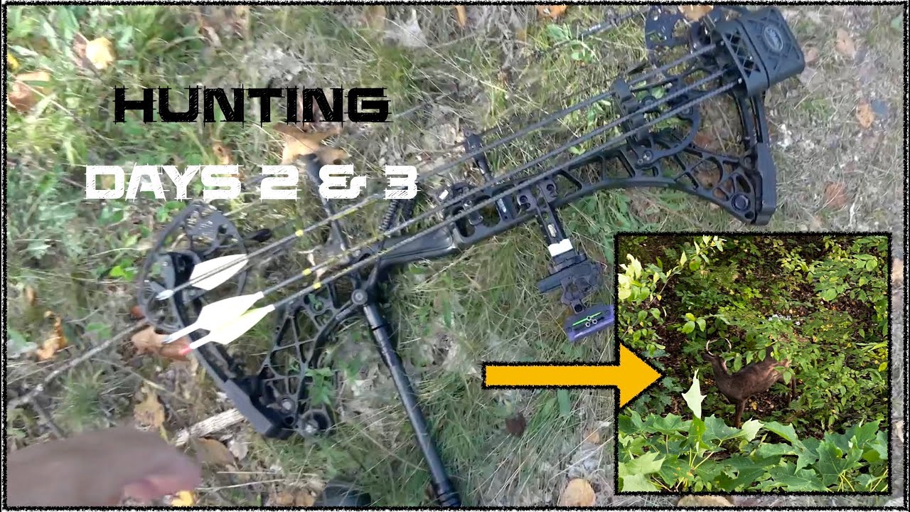 HUNTS 2 & 3 | 2022 BOW SEASON NORTHERN WISCONSIN - YouTube