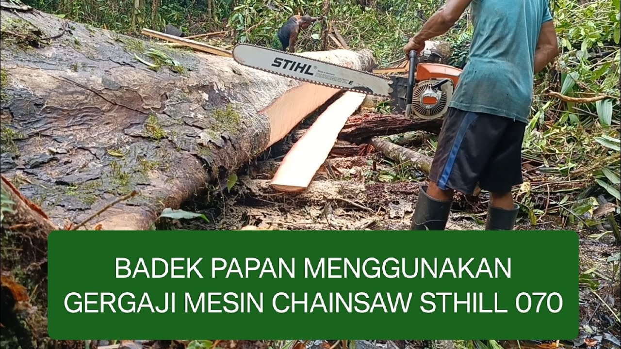 BADEK PAPAN ‼️MENGGUNAKAN MESIN GERGAJI CHAINSAW STHILL 070 #video# ...