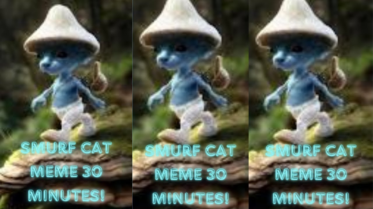 I 30 minutes I We Live, We Love, We Lie Smurf Blue Cat Tik Tok Audio ...
