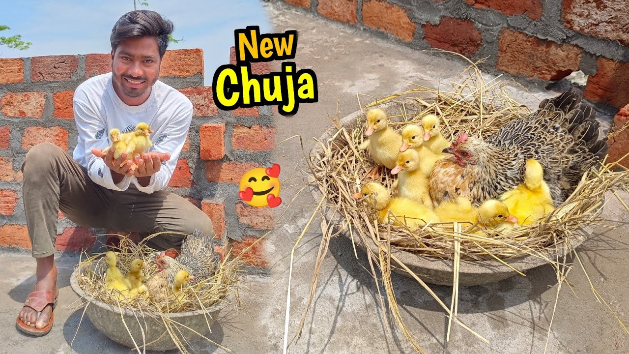 New Chuja Agaya😍 - YouTube