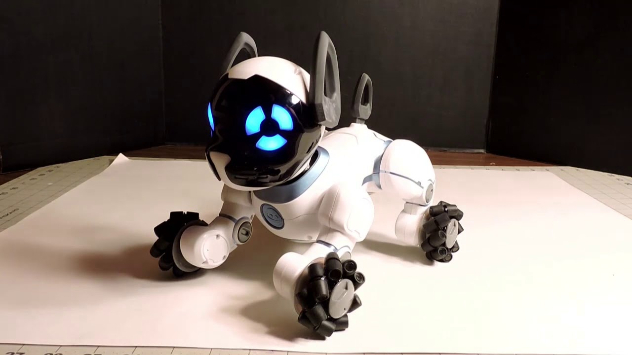 WowWee CHiP Robot Pet Dog - YouTube