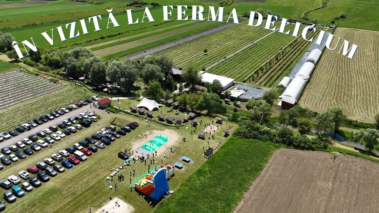 ÎN VIZITĂ LA FERMA DELICIUM - YouTube
